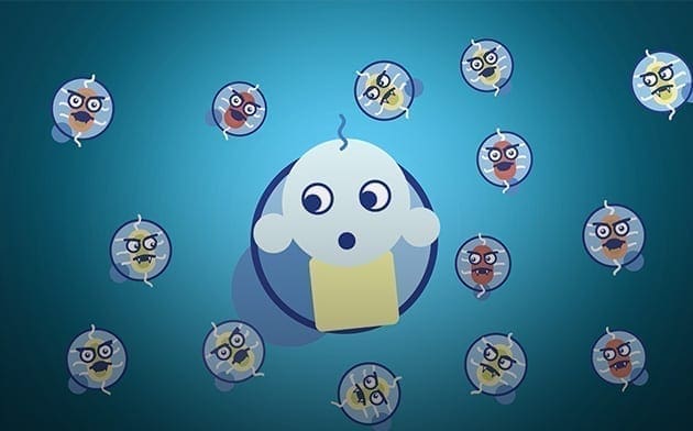 Quality & Food Standards animation Danone | SowiesoHelder